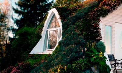 OasisBioHomes Technology - Wonderful Structures